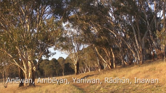 Gambay - First Languages Map