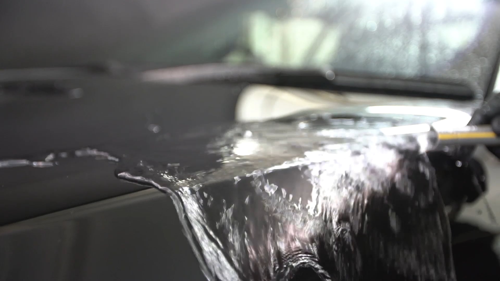 Beeding Clip 07 001 on Vimeo