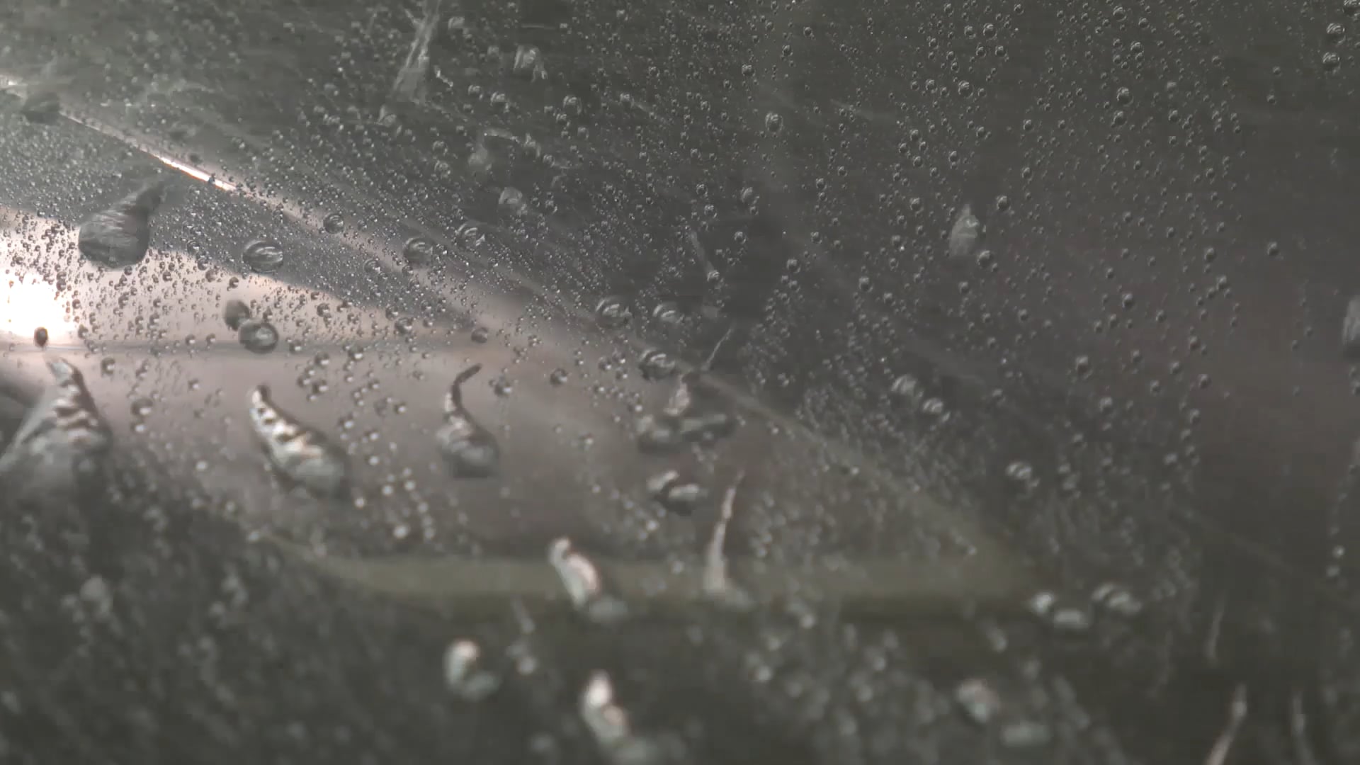 Beeding Clip 02 001 on Vimeo