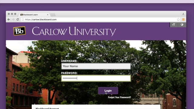 Elisco's Creative Café Reviews and Clients | DesignRush