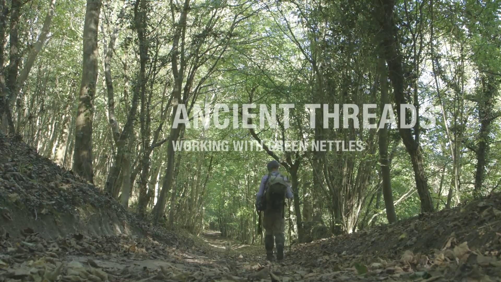 ANCIENT THREADS: WORKING WITH GREEN NETTLES on Vimeo