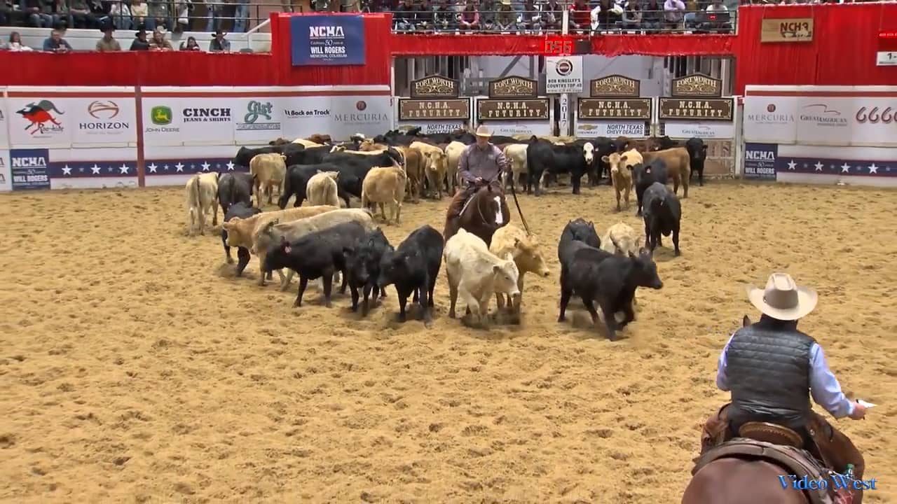 Dual Reyish - 2017 NCHA Open Futurity Champion on Vimeo