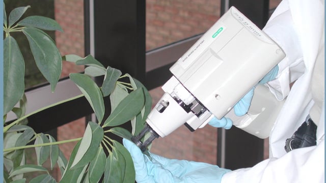 Biolistics: an alternative method — Science Learning Hub