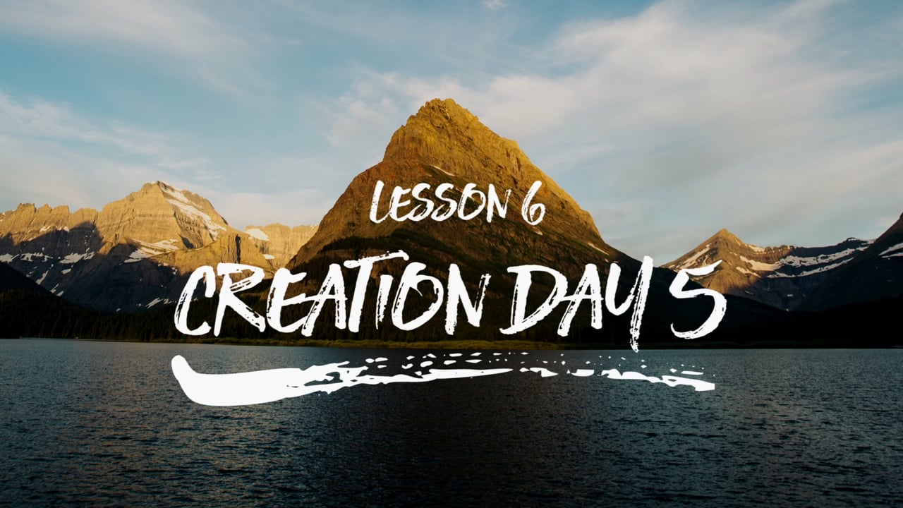 Lesson 6 | Verse By Verse Ministry International