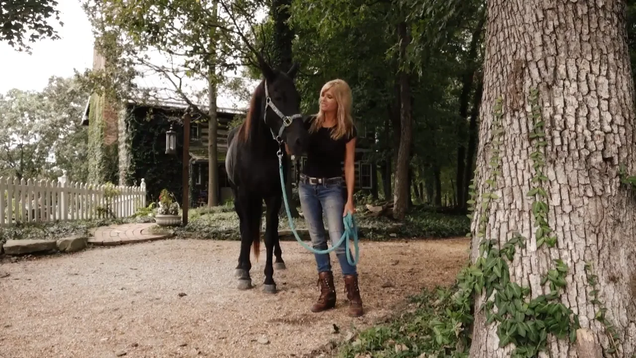 Ruth Guerri story reel