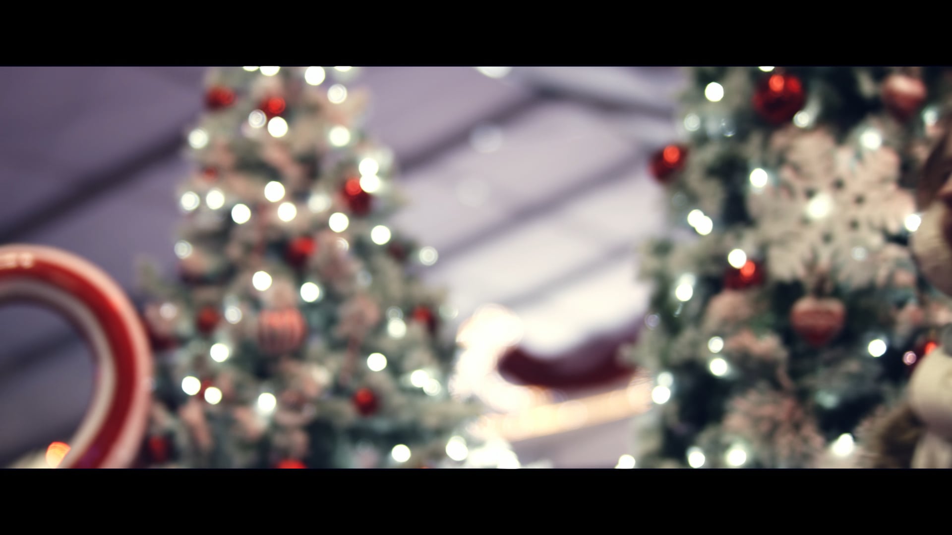 Daisy Full Version Final 2 on Vimeo