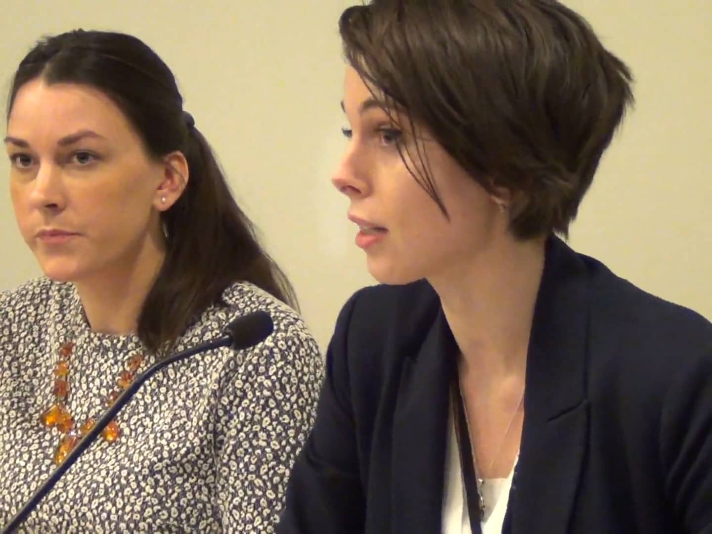 Intervention of Hannah Phillips, EU Parliamentary assistant to Anthea ...