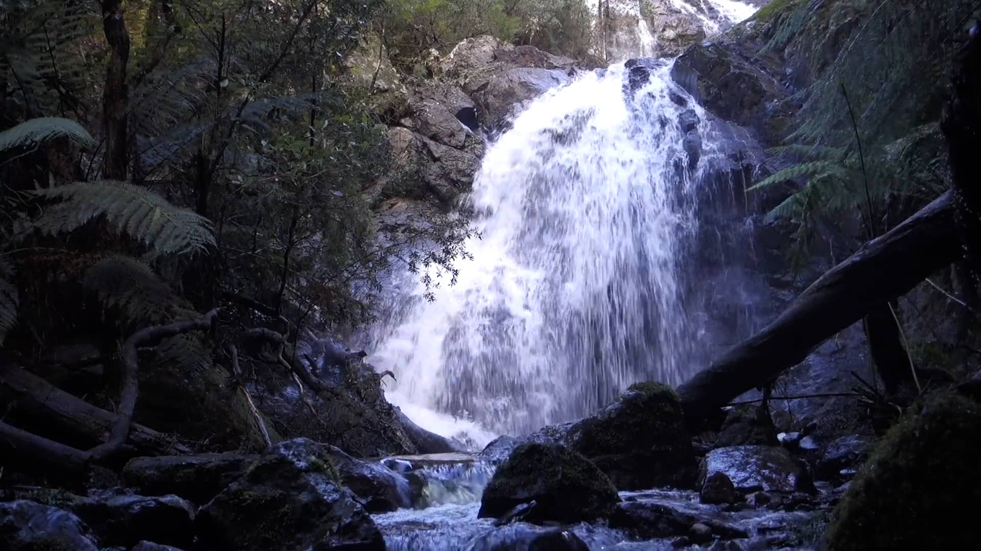 Castra Circuit Waterfalls, Tasmania, 2016-06-25 on Vimeo