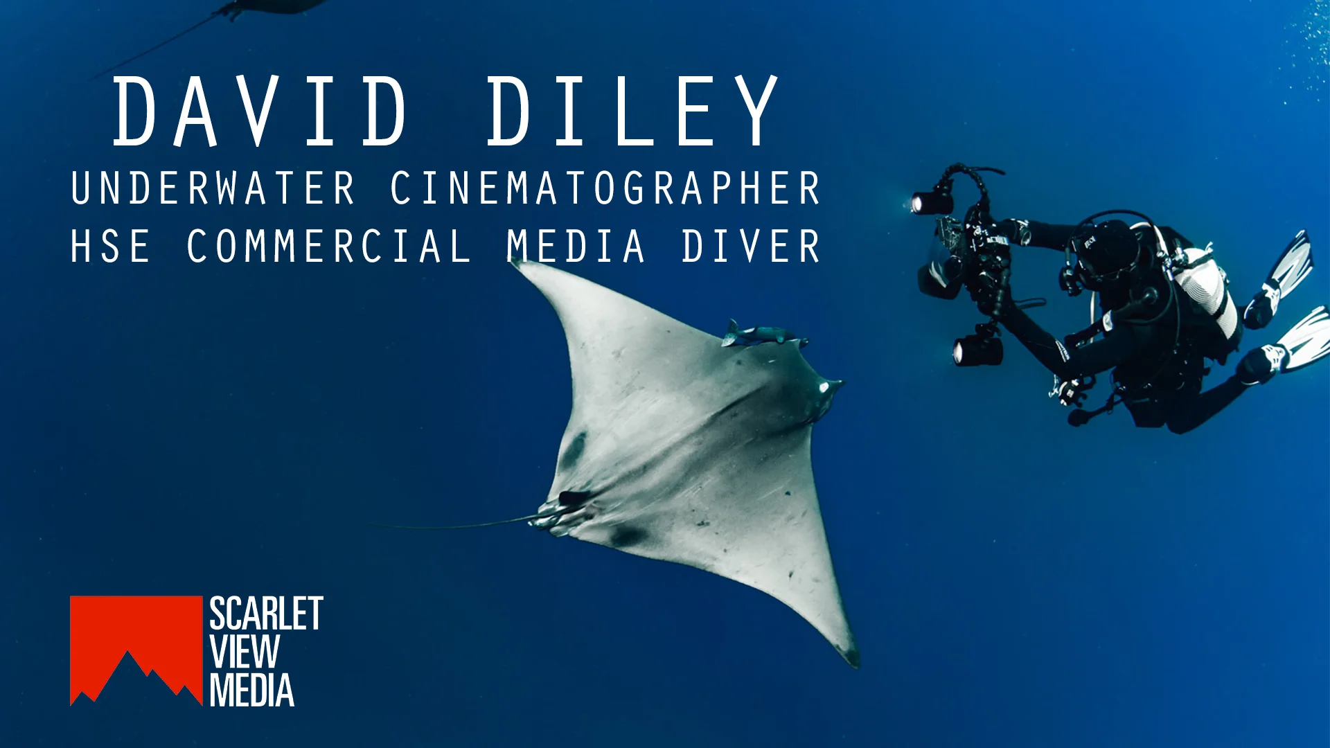 David Diley Underwater Cinematography Showreel on Vimeo