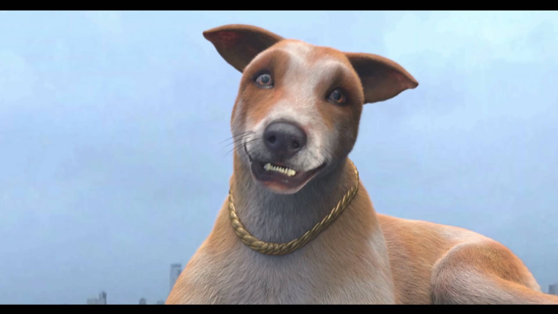 AfterLife Dog on Vimeo