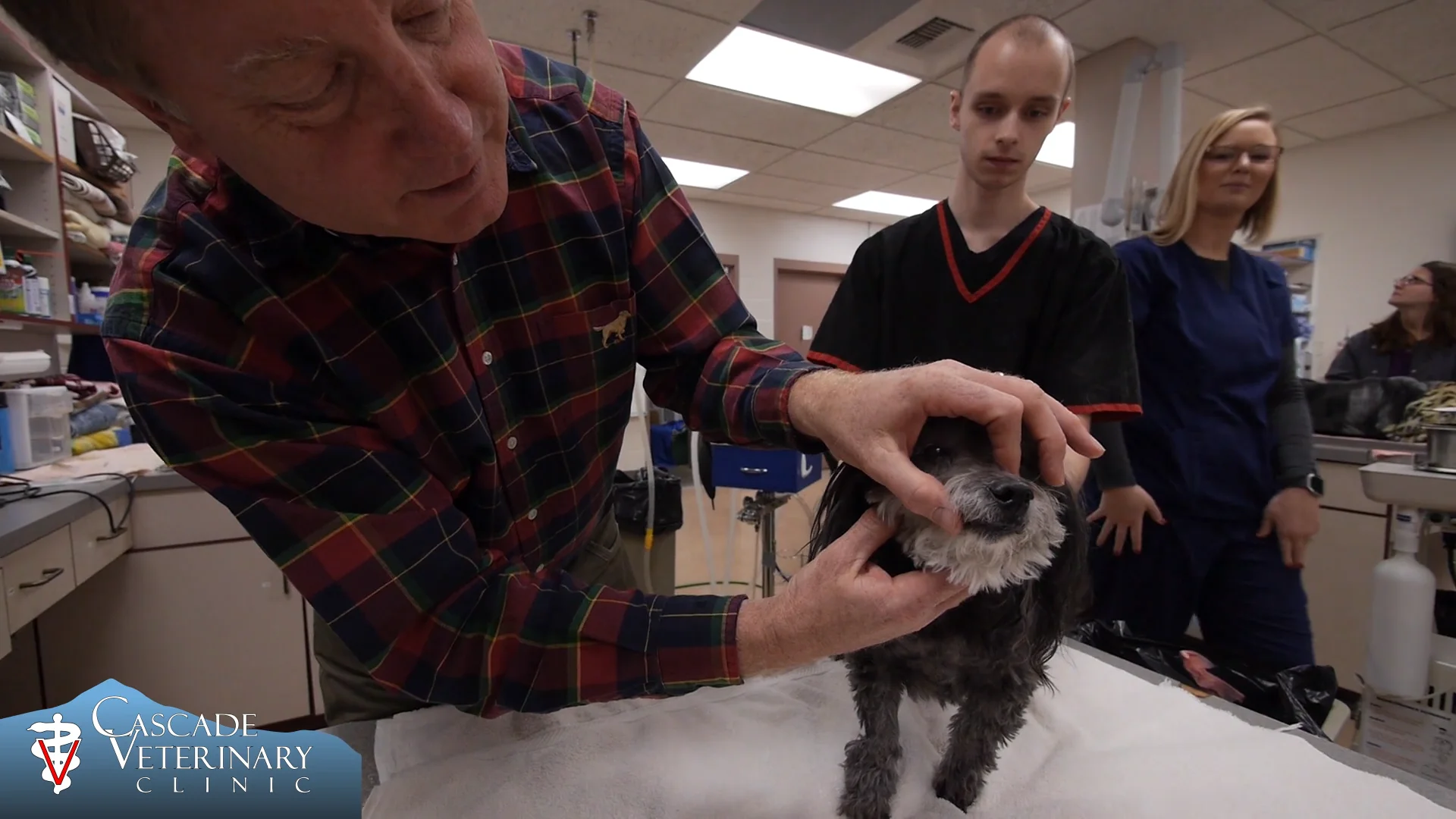 Wenatchee Valley Chamber of Commerce Spotlight: Cascade Veterinary ...