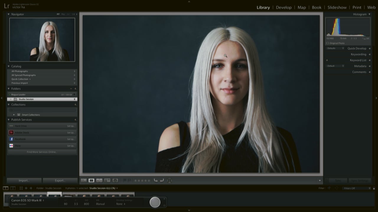 Color Calibration - The Portrait System