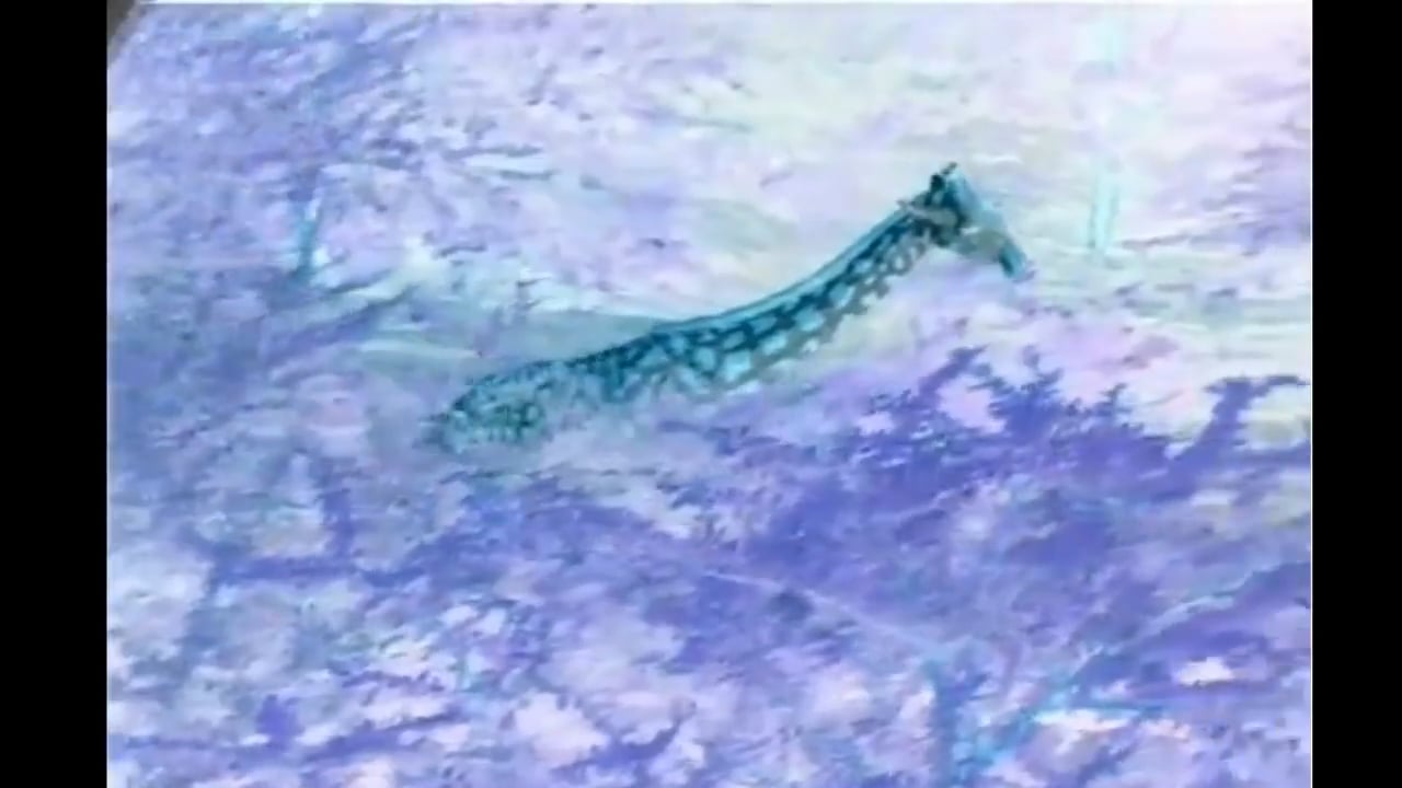 World Animals in G Major [Part 2] (re-upload) on Vimeo