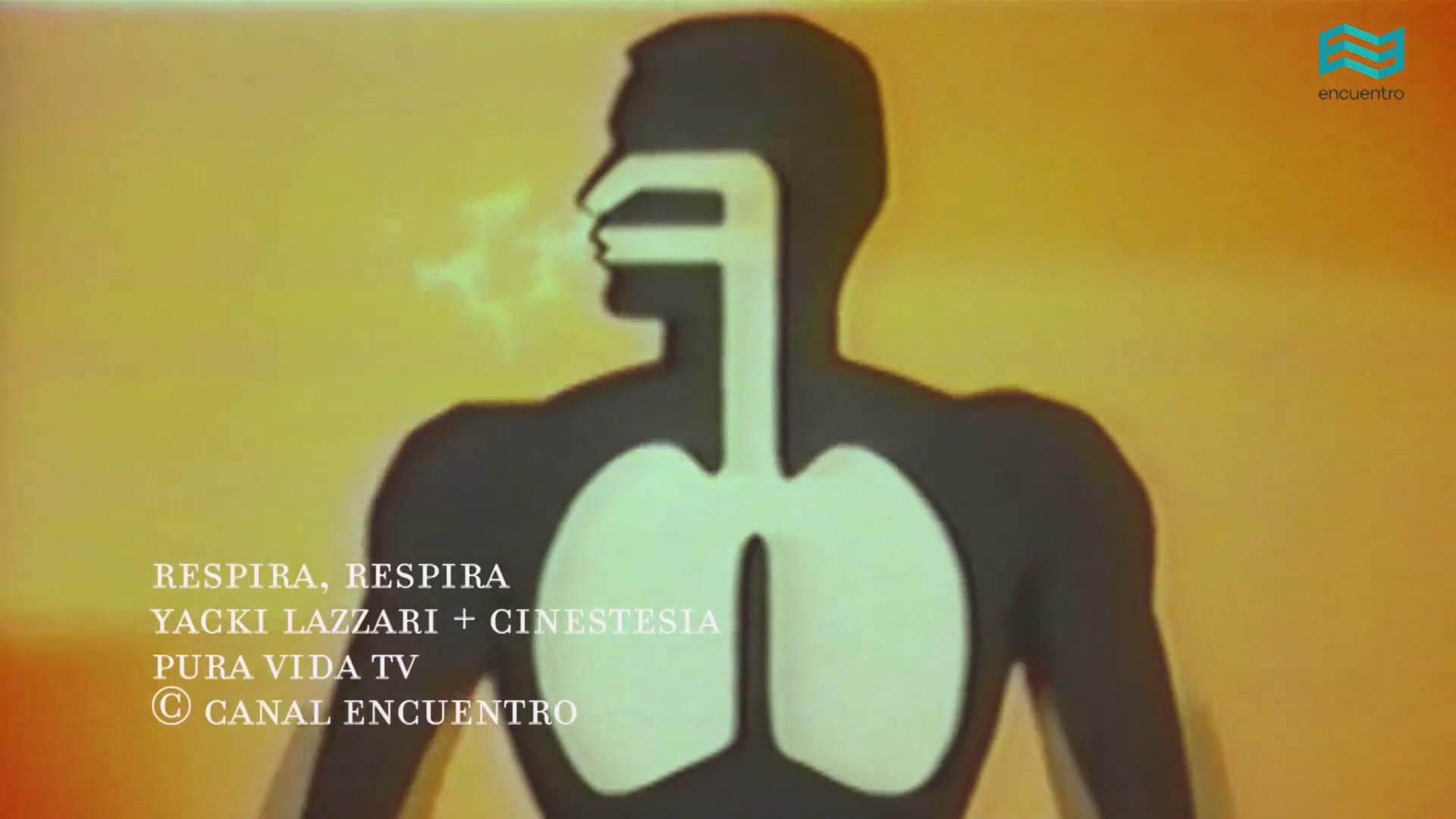 Respira, respira - Sistemas el cuerpo humano. on Vimeo