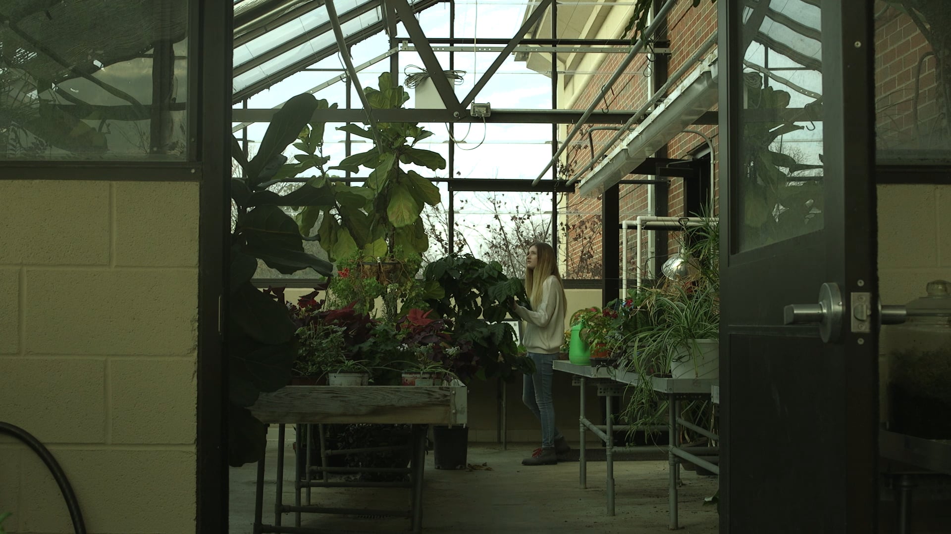 Senses on Vimeo