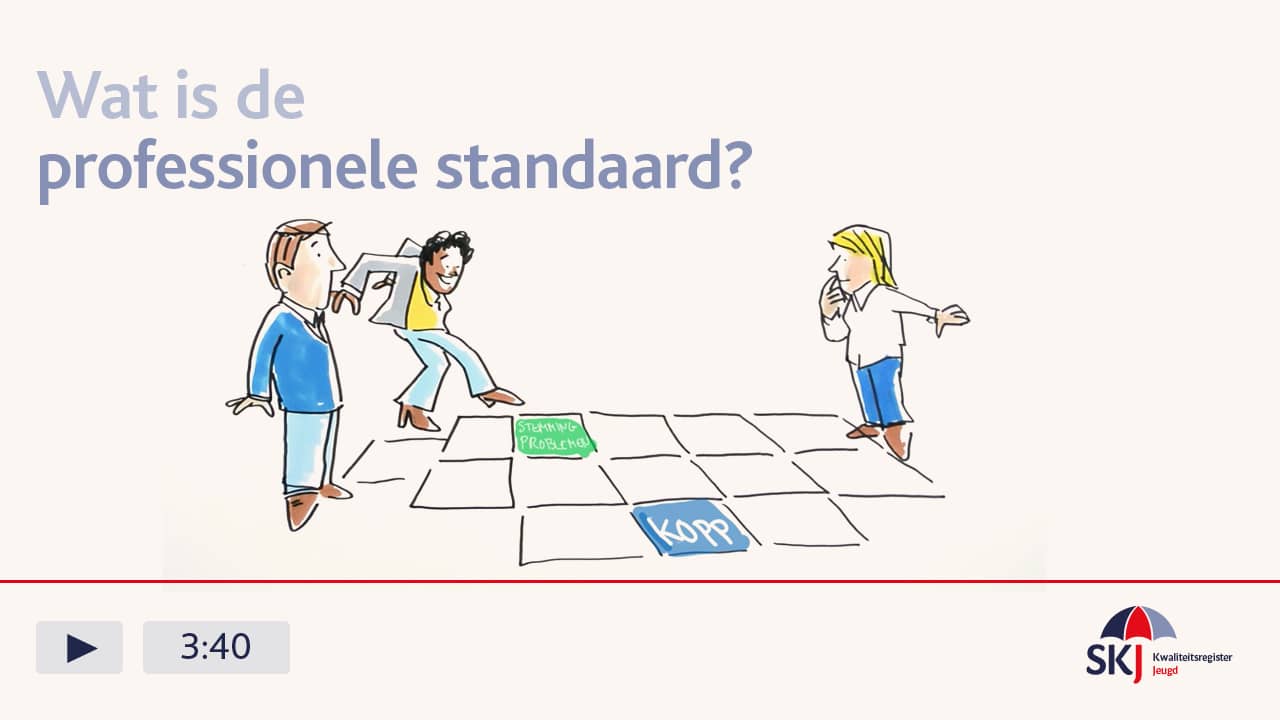 Wat is de professionele standaard? on Vimeo