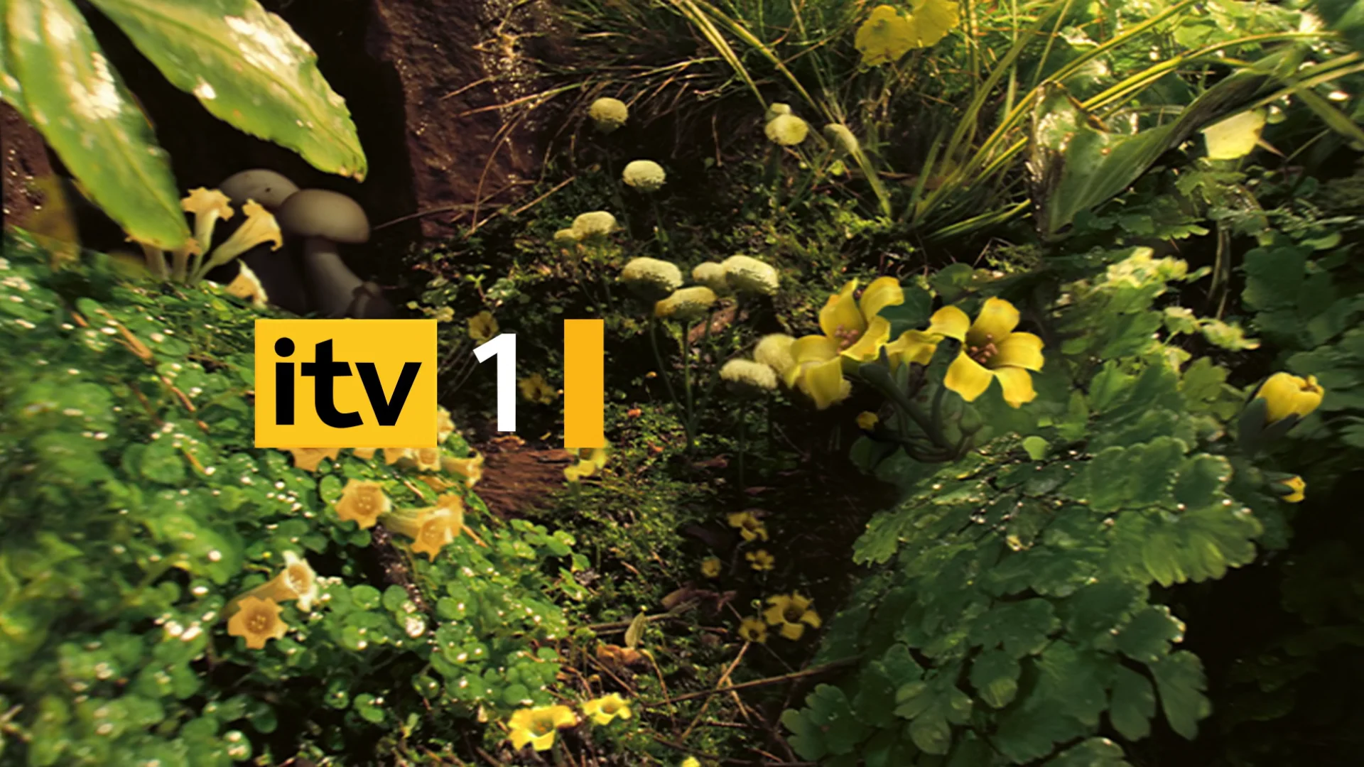 itv ident Garden by Pleix on Vimeo