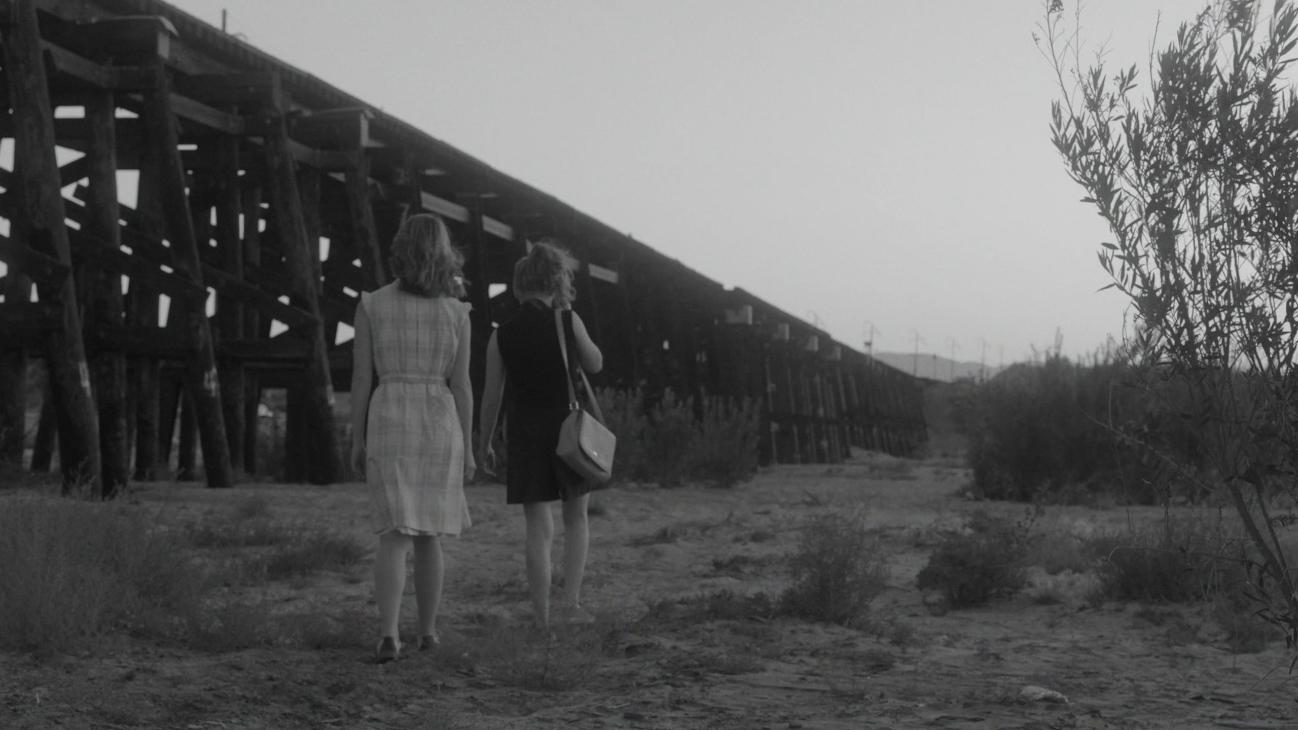 Grayscale Trailer on Vimeo