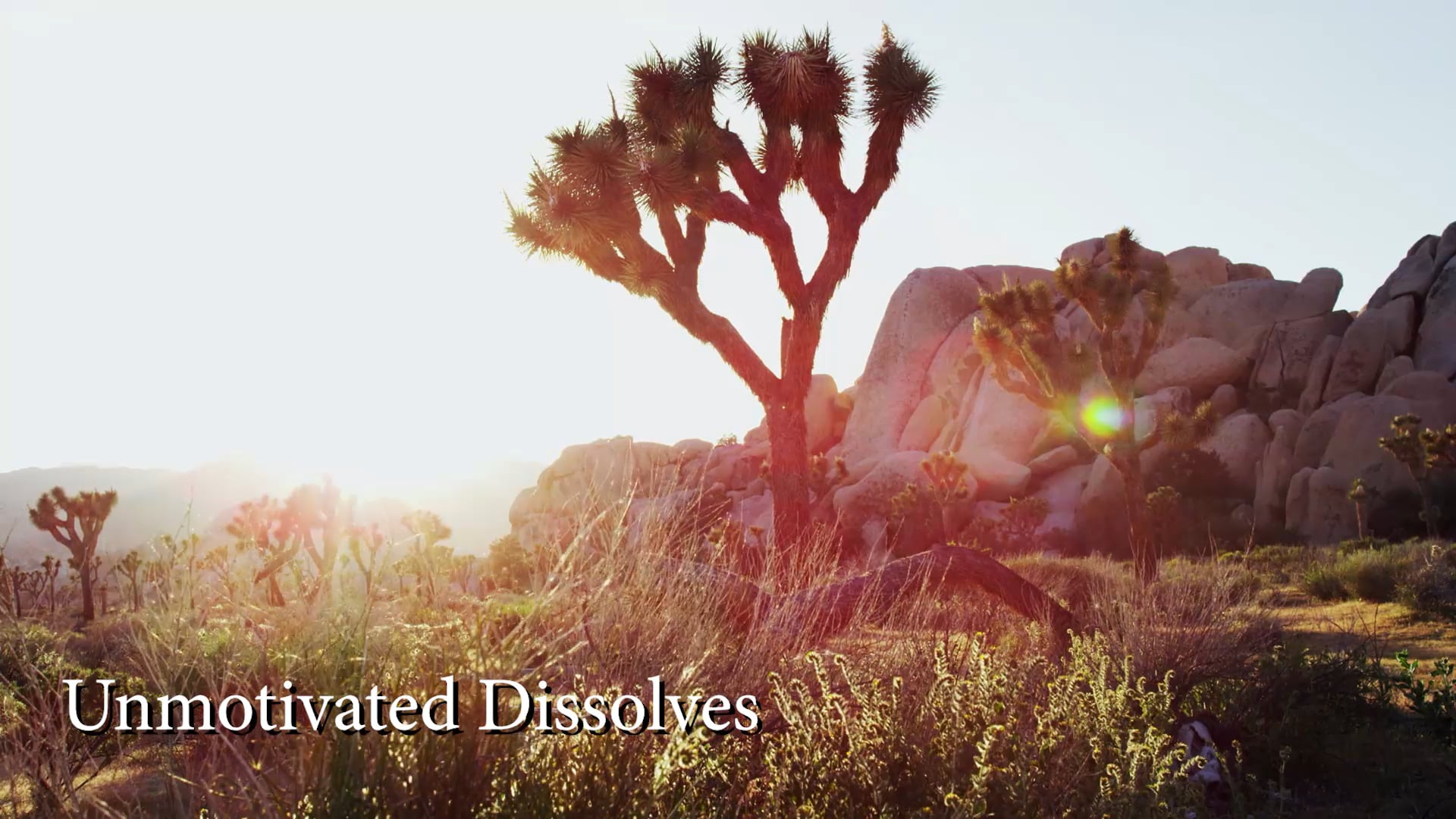 Cross Dissolves Motivations Examples on Vimeo