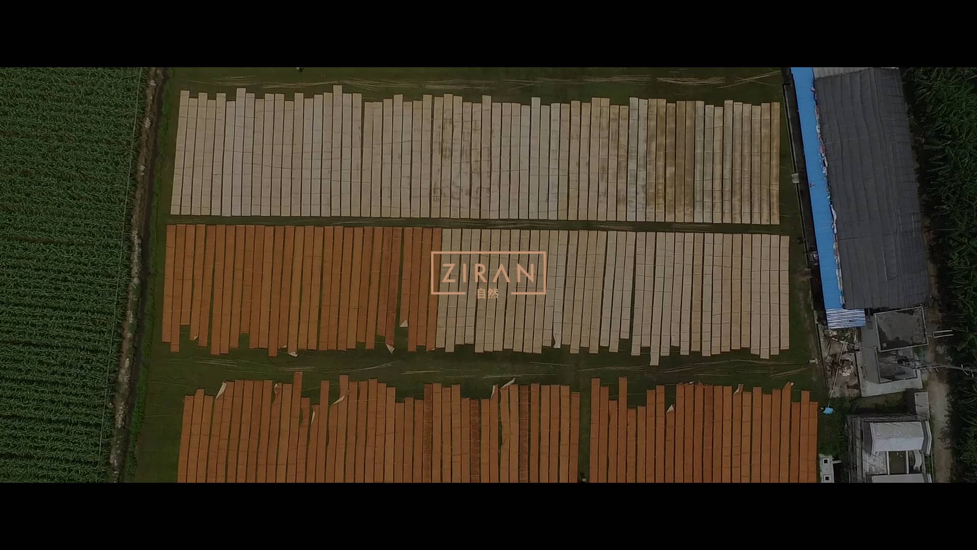 The Ziran Way Teaser on Vimeo