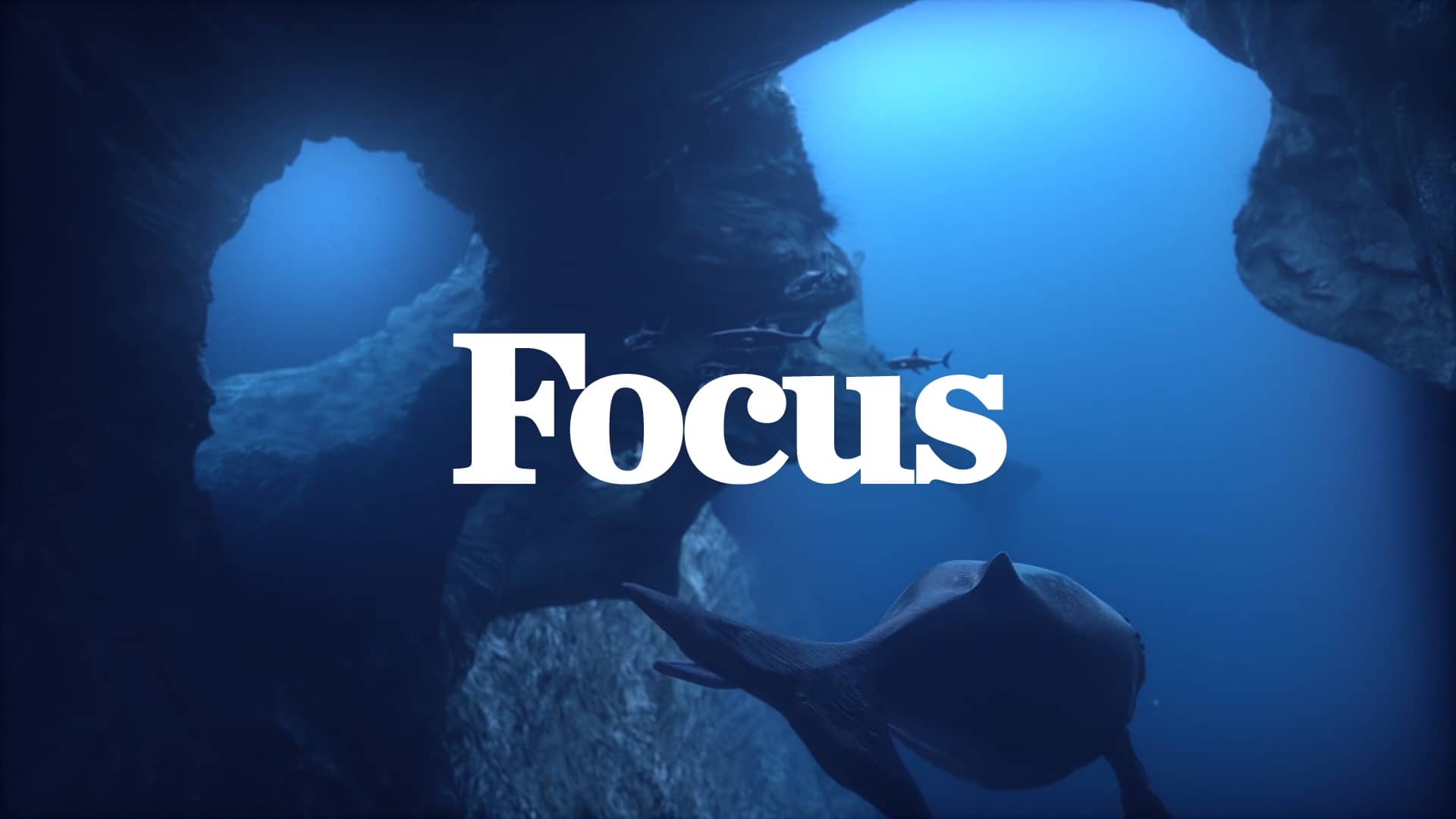 FOCUS /// channel ID 2017 on Vimeo