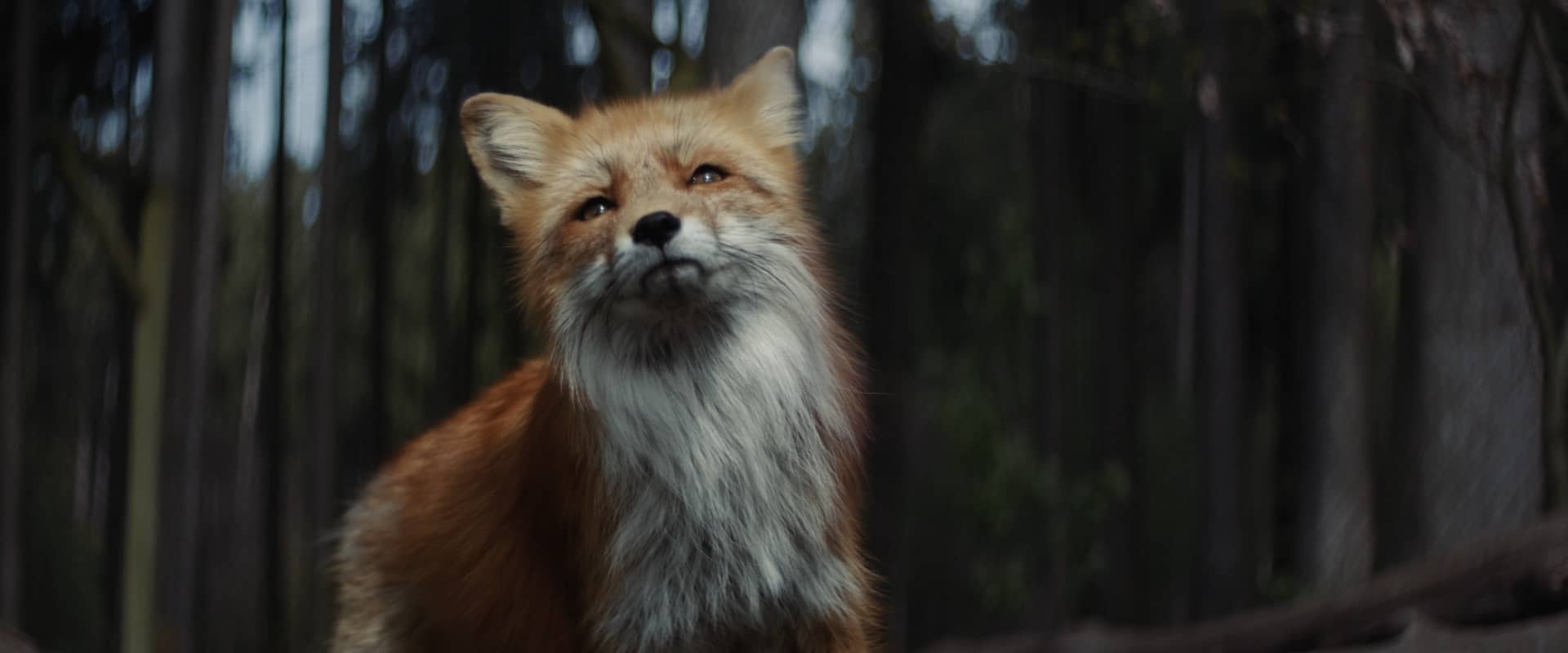 A world unseen on Vimeo