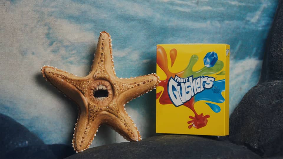 Gushers | Starfish Salad :06 on Vimeo