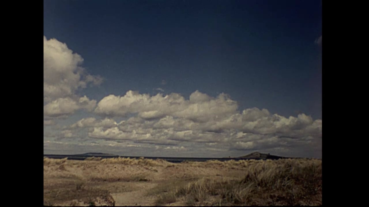 Burrow Strand, Sutton, Dublin 2011 on Vimeo