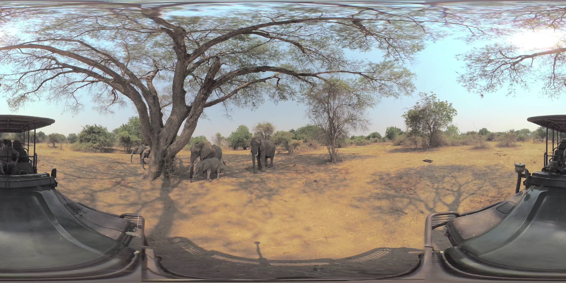 Wildlife 360 videos on Vimeo