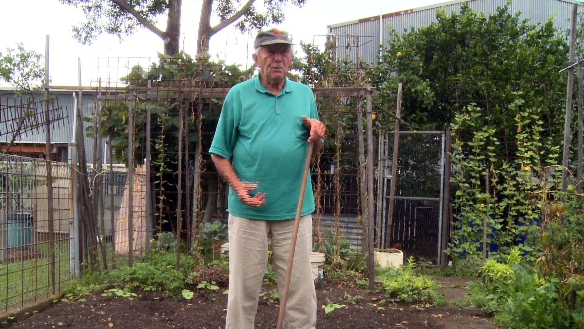 Watch My Backyard, Your Backyard Online | Vimeo On Demand on Vimeo