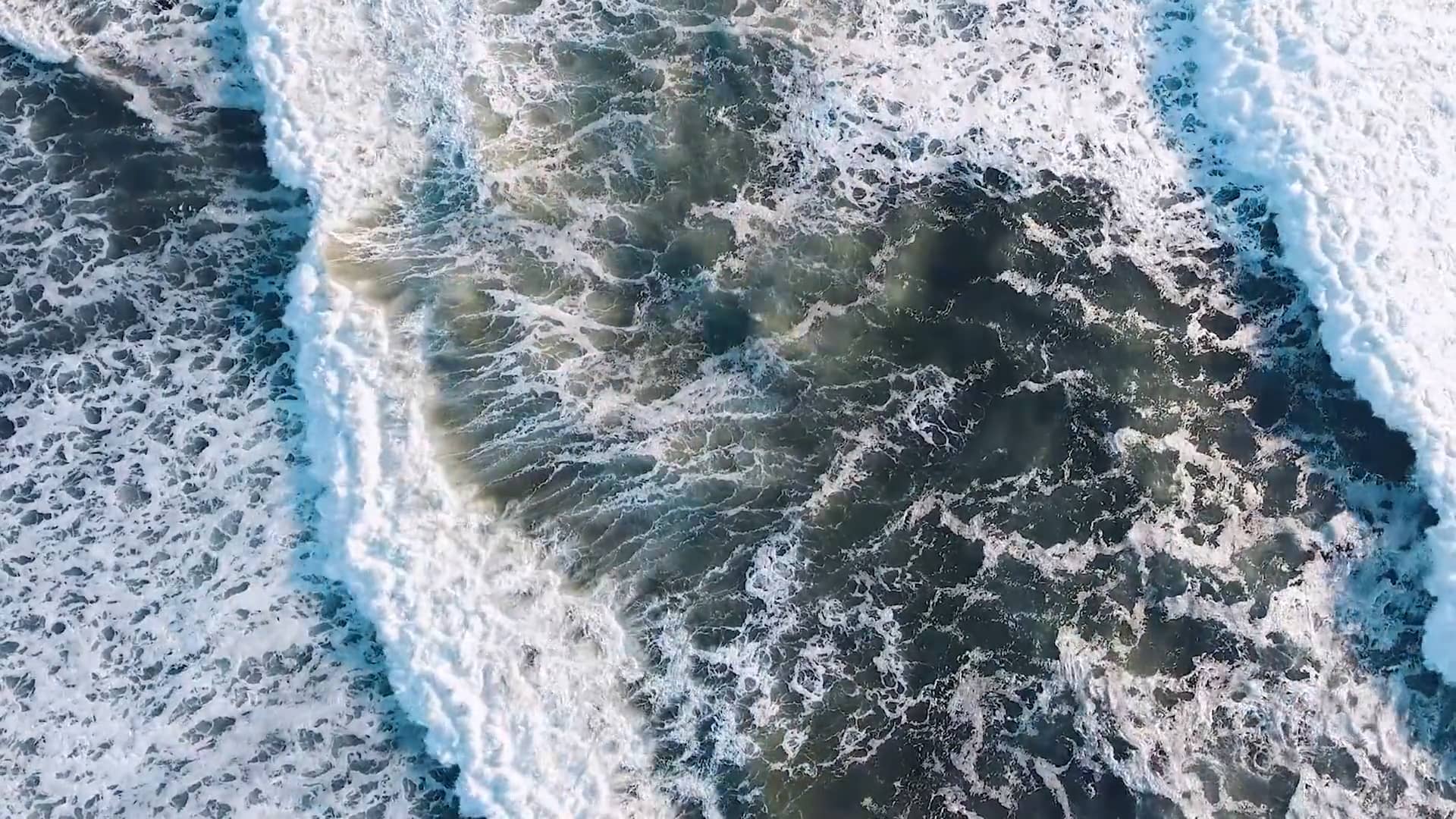 Blue Mind Movie Sizzle Reel on Vimeo