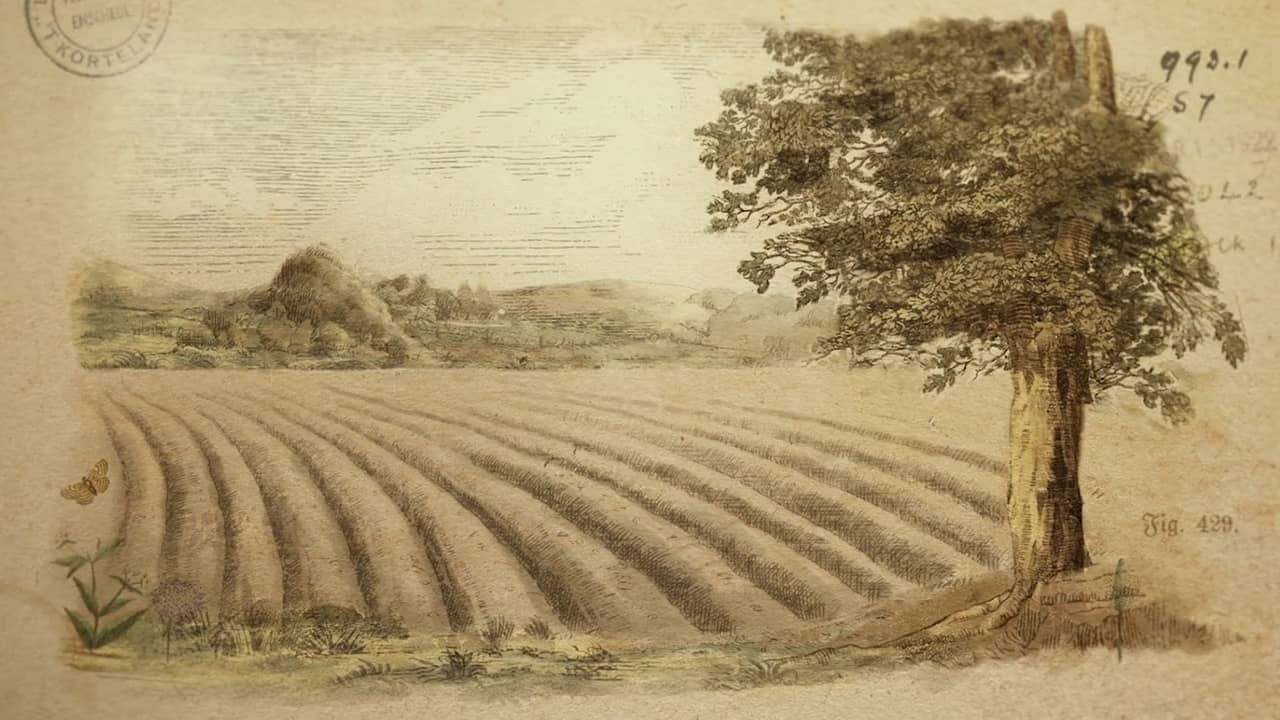 Yara Knowledge Grows Video on Vimeo