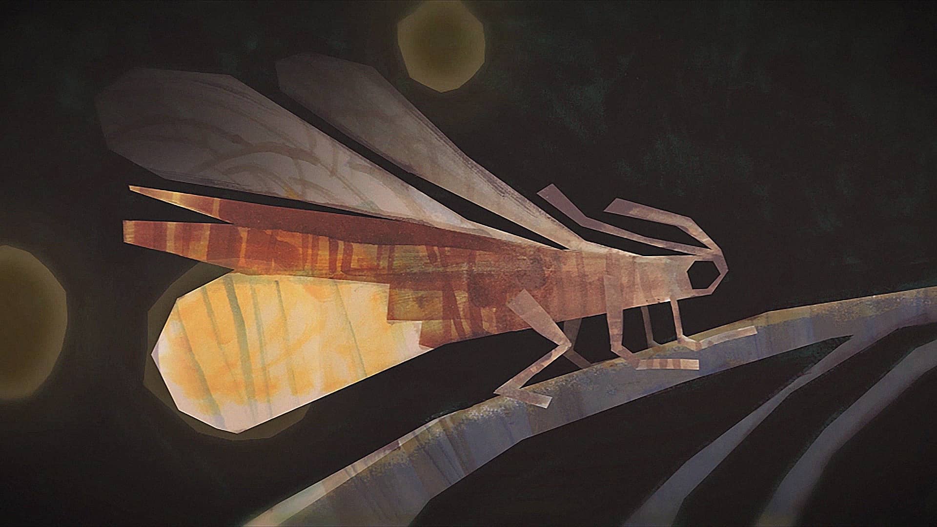 Firefly Dance on Vimeo