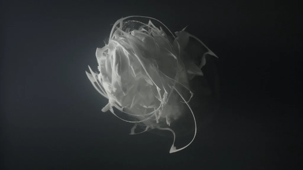 Singularity on Vimeo