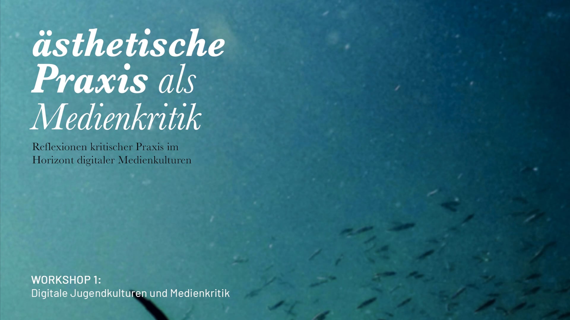 Manuel Zahn: Ästhetische Praxis als Medienkritik. Einführende ...