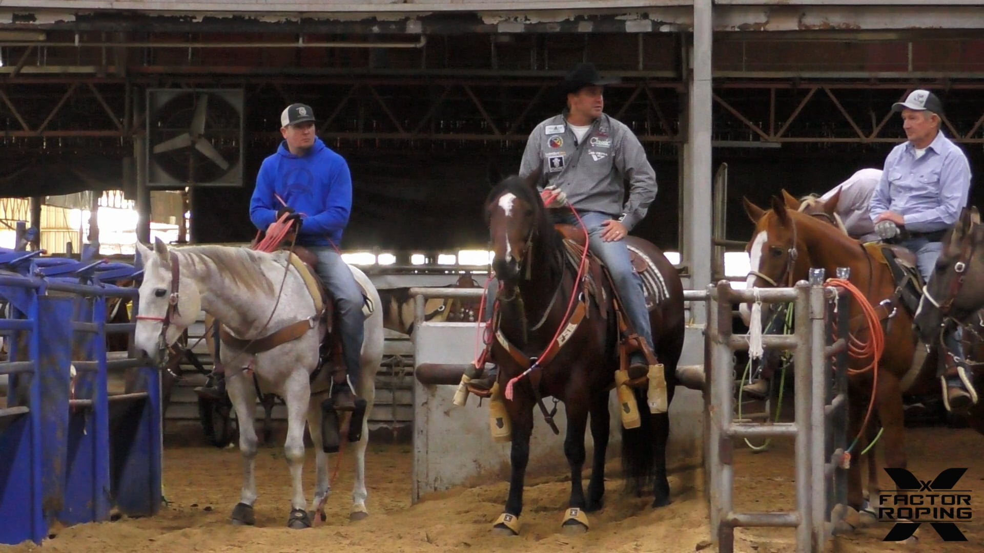 Releasing Left Hand to Relax Your Horse with Charly Crawford | X Factor ...