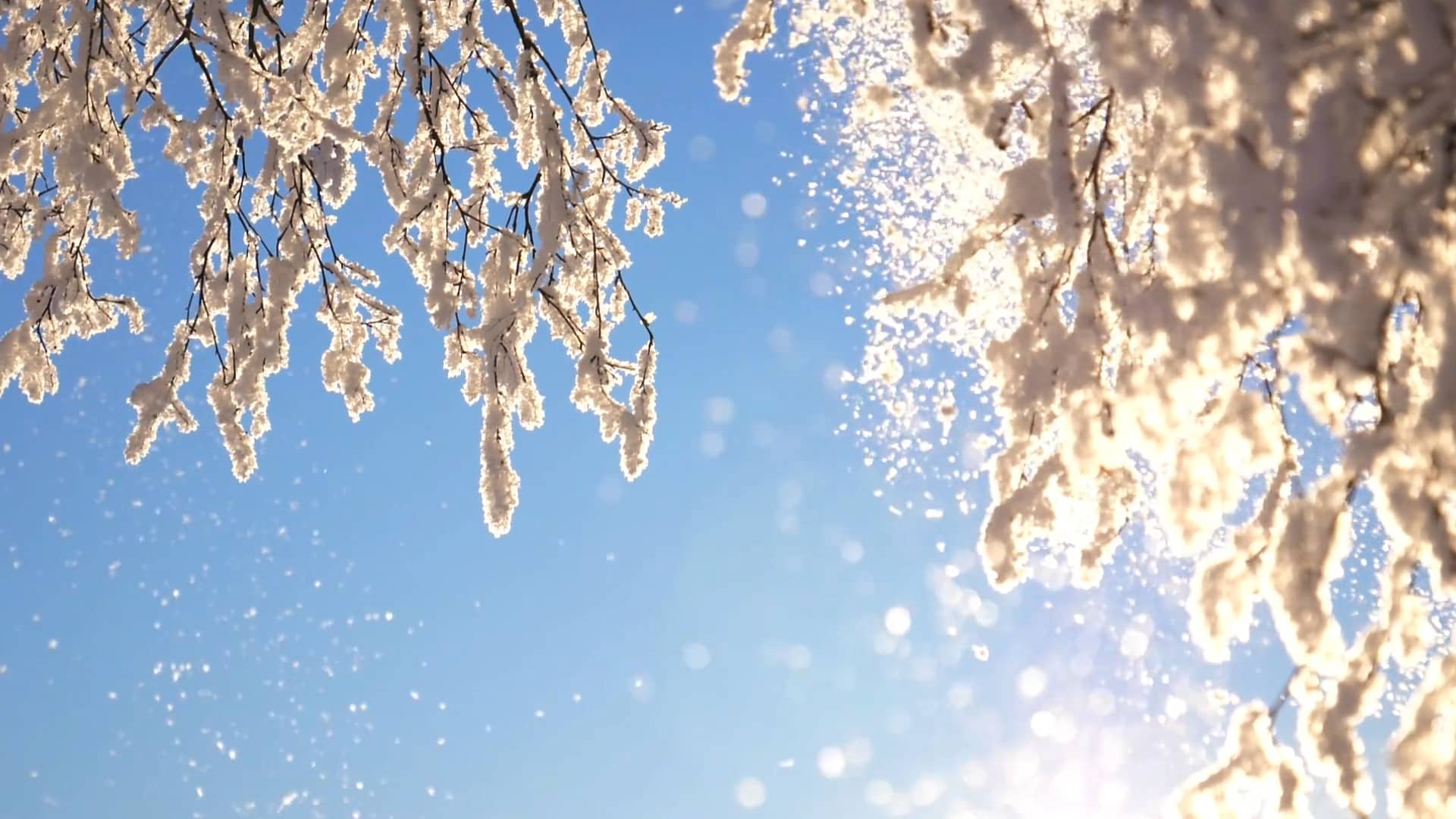 Crystal Rain on Vimeo