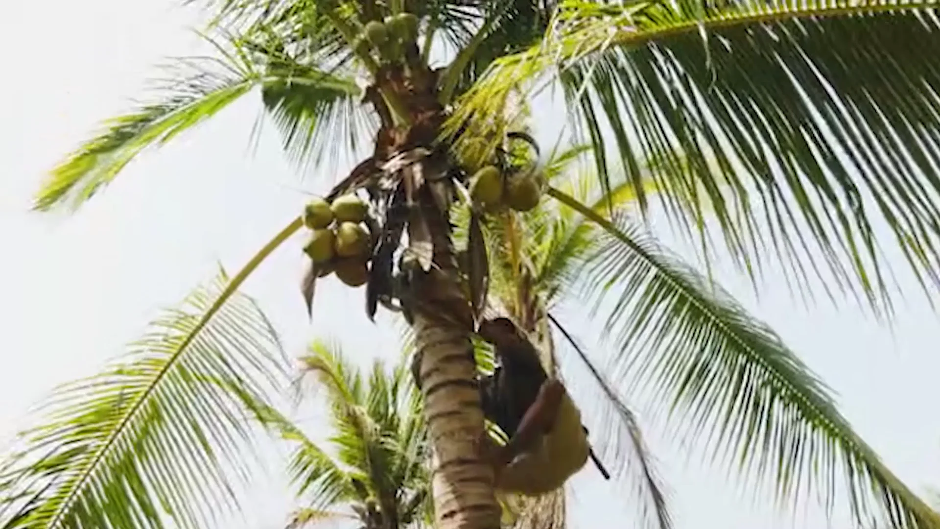 FOUNDERS_Generic_FINAL on Vimeo