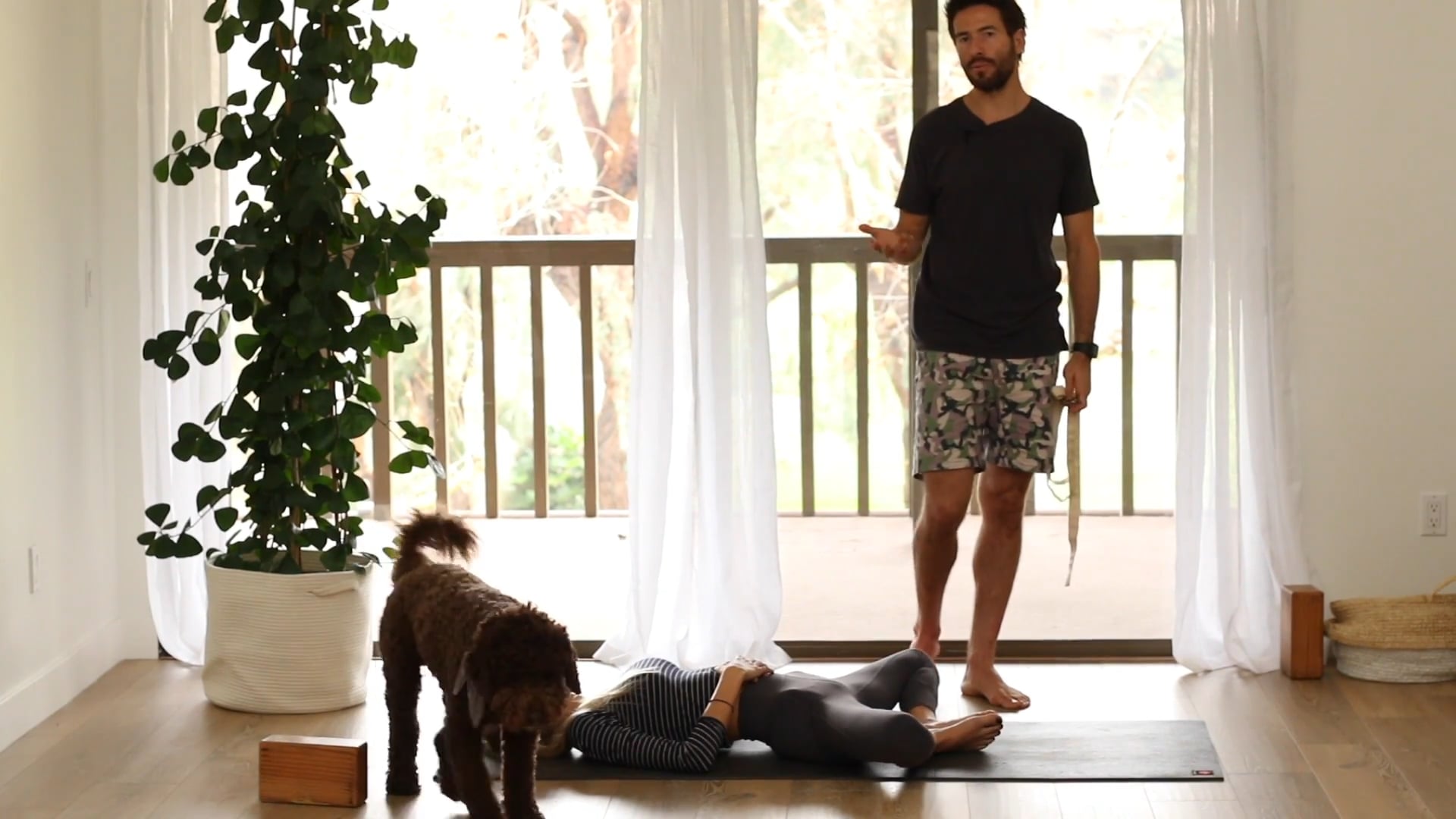 Day 12 Morning Total Body Yoga Workout - Vinyasa Flow Yoga With Tim on ...