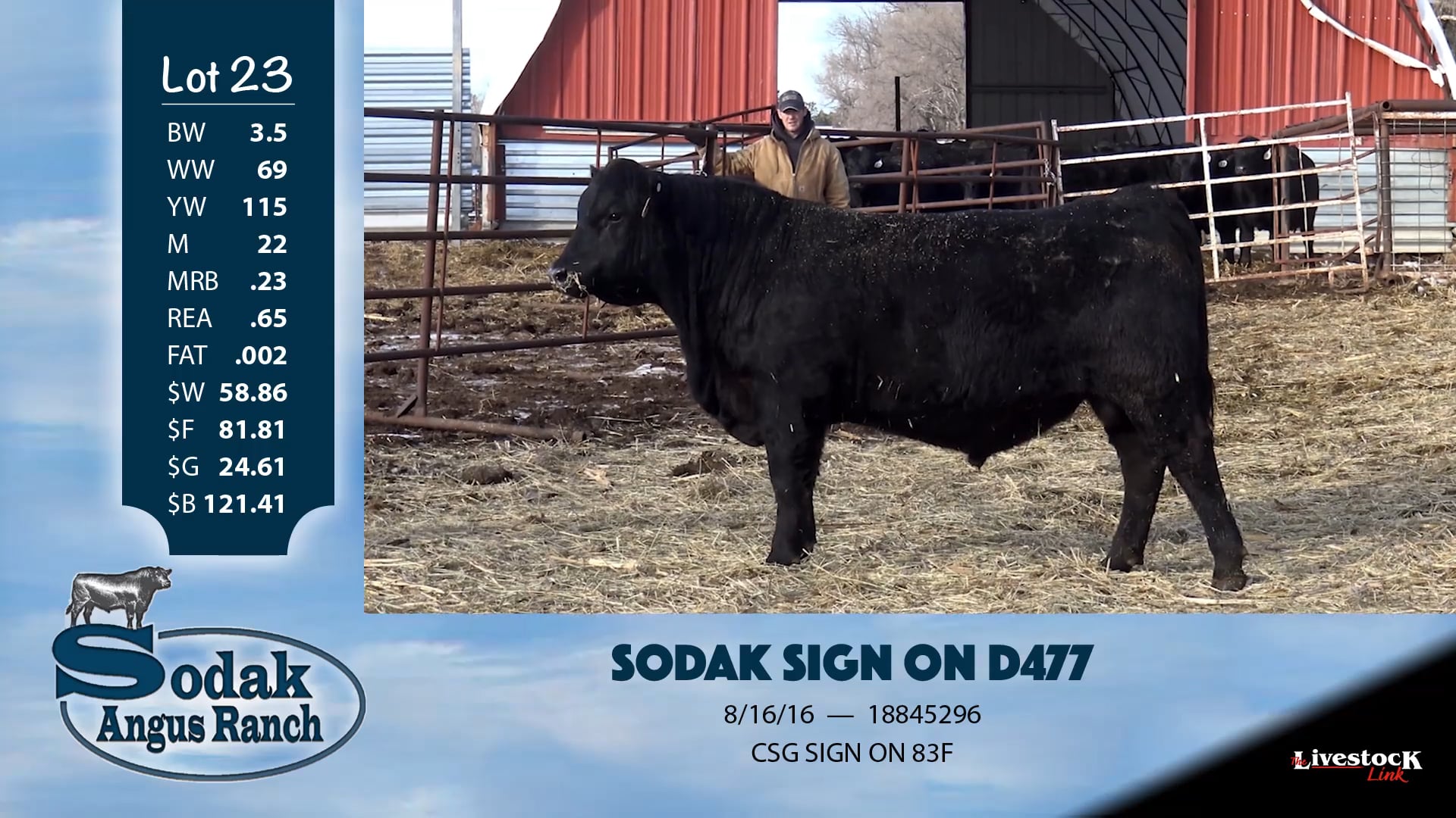 23 - Sodak Angus Ranch on Vimeo