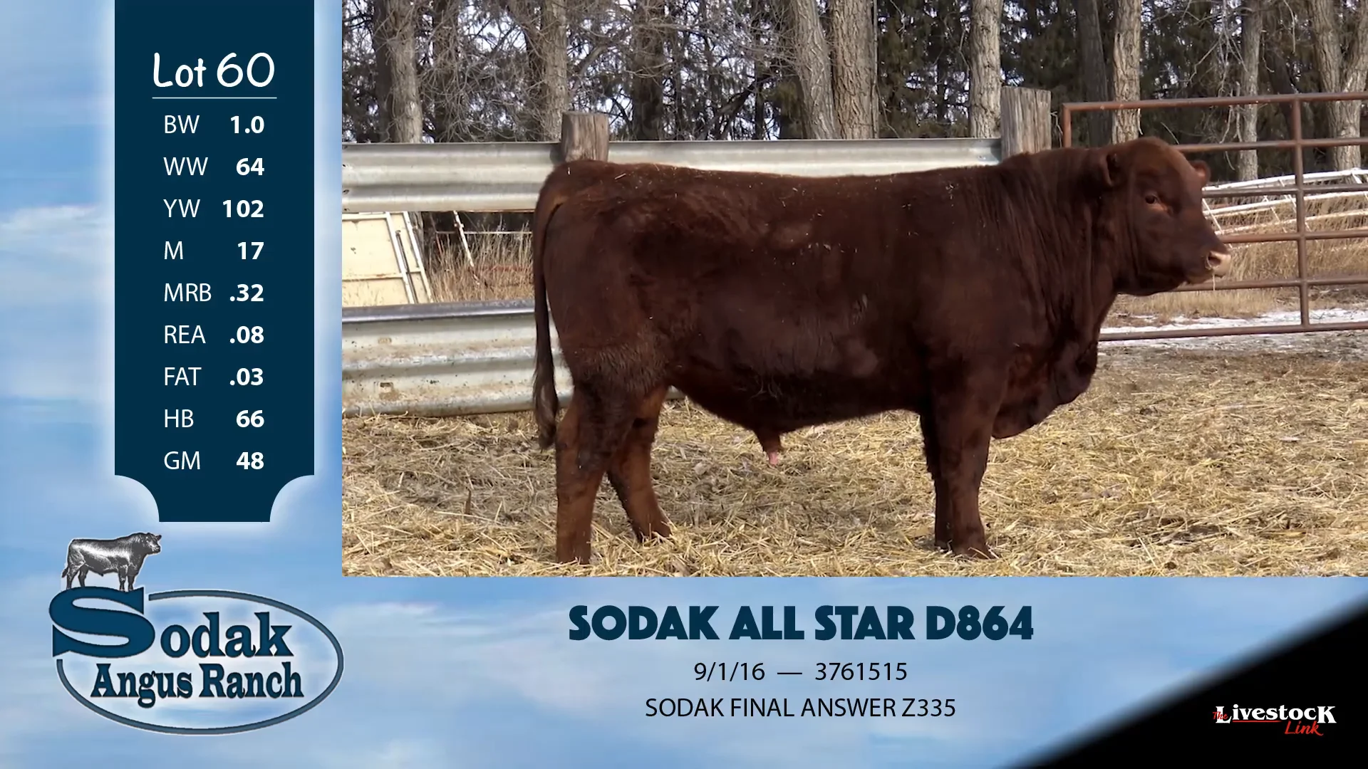 60 - Sodak Angus Ranch on Vimeo