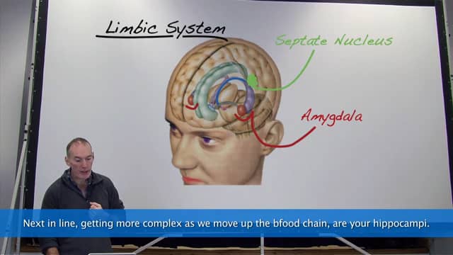 Brain Development - Andrew Curran on Vimeo