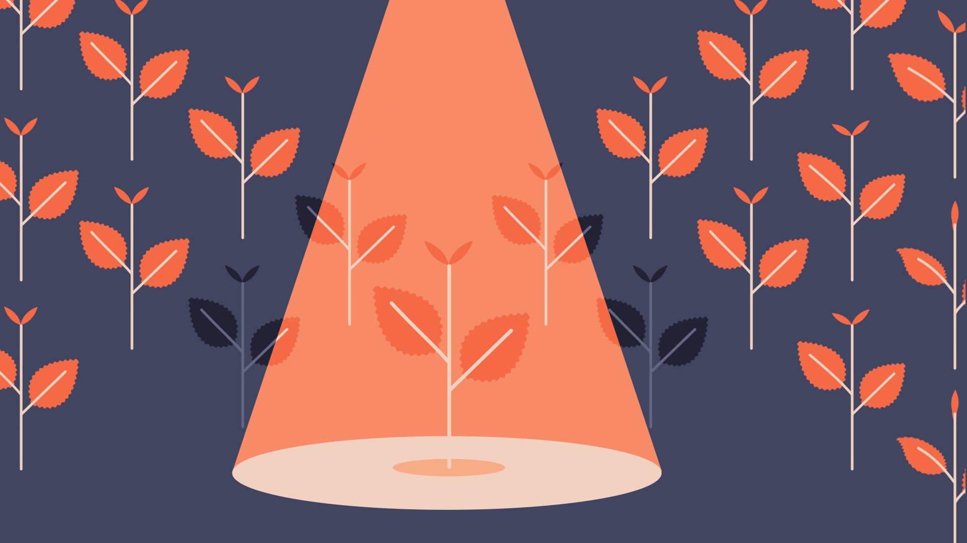 Introducing Kinsu on Vimeo