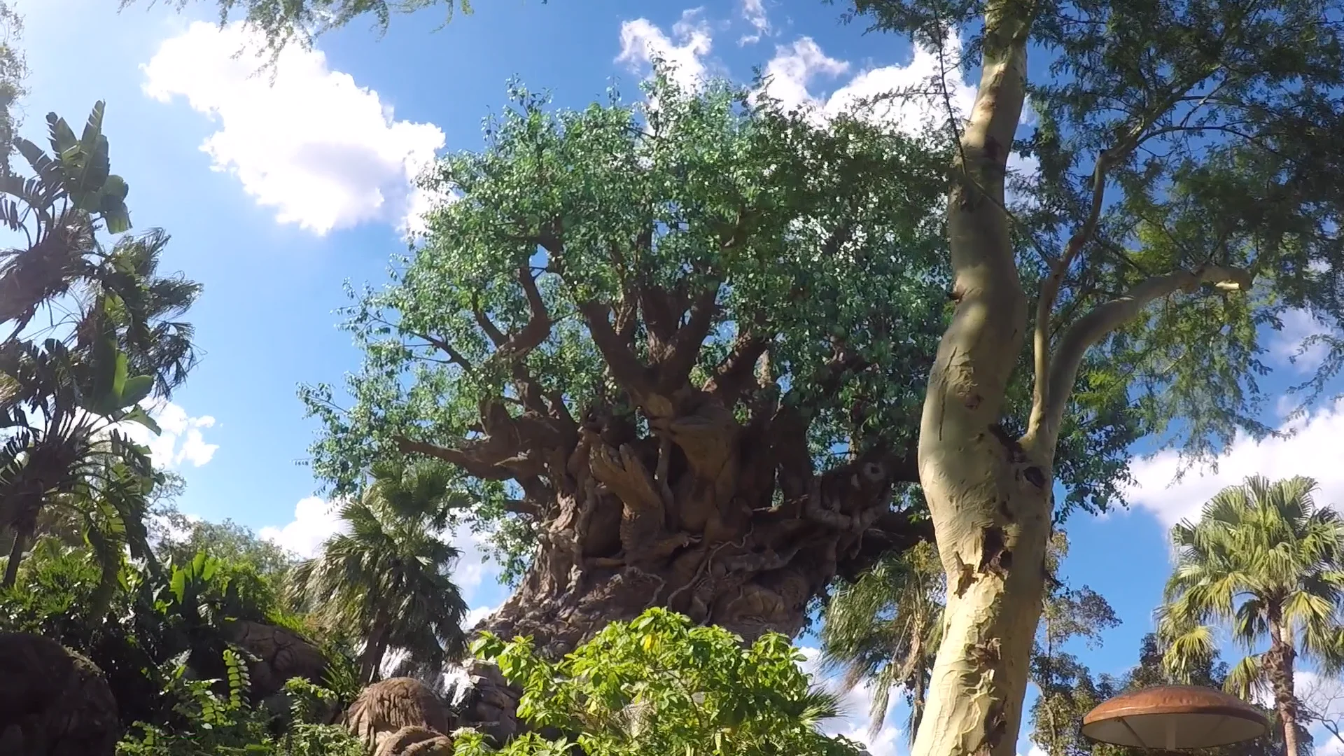 Gabo Aventuras #7 - Disney on Vimeo