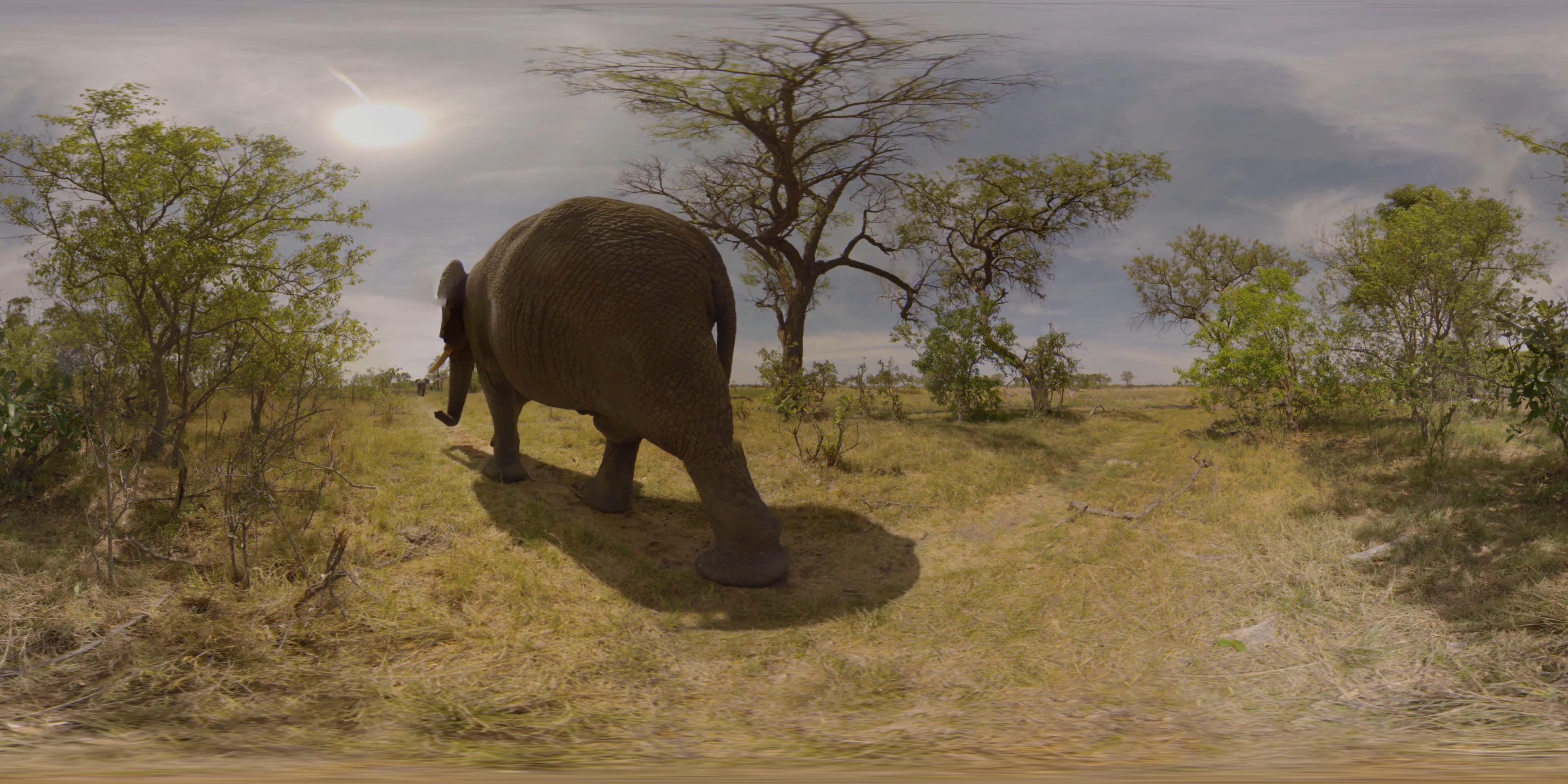 Elephant 360 on Vimeo
