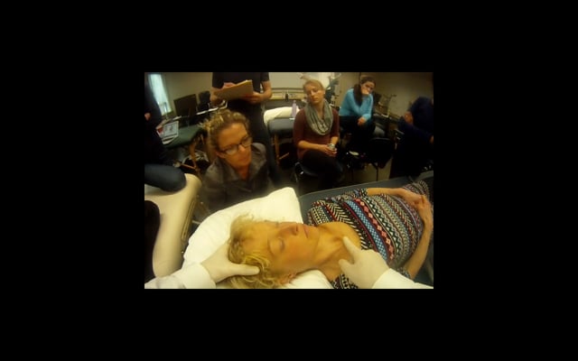 Functional Integrative Rehabilitation Education - The SCM and Gait