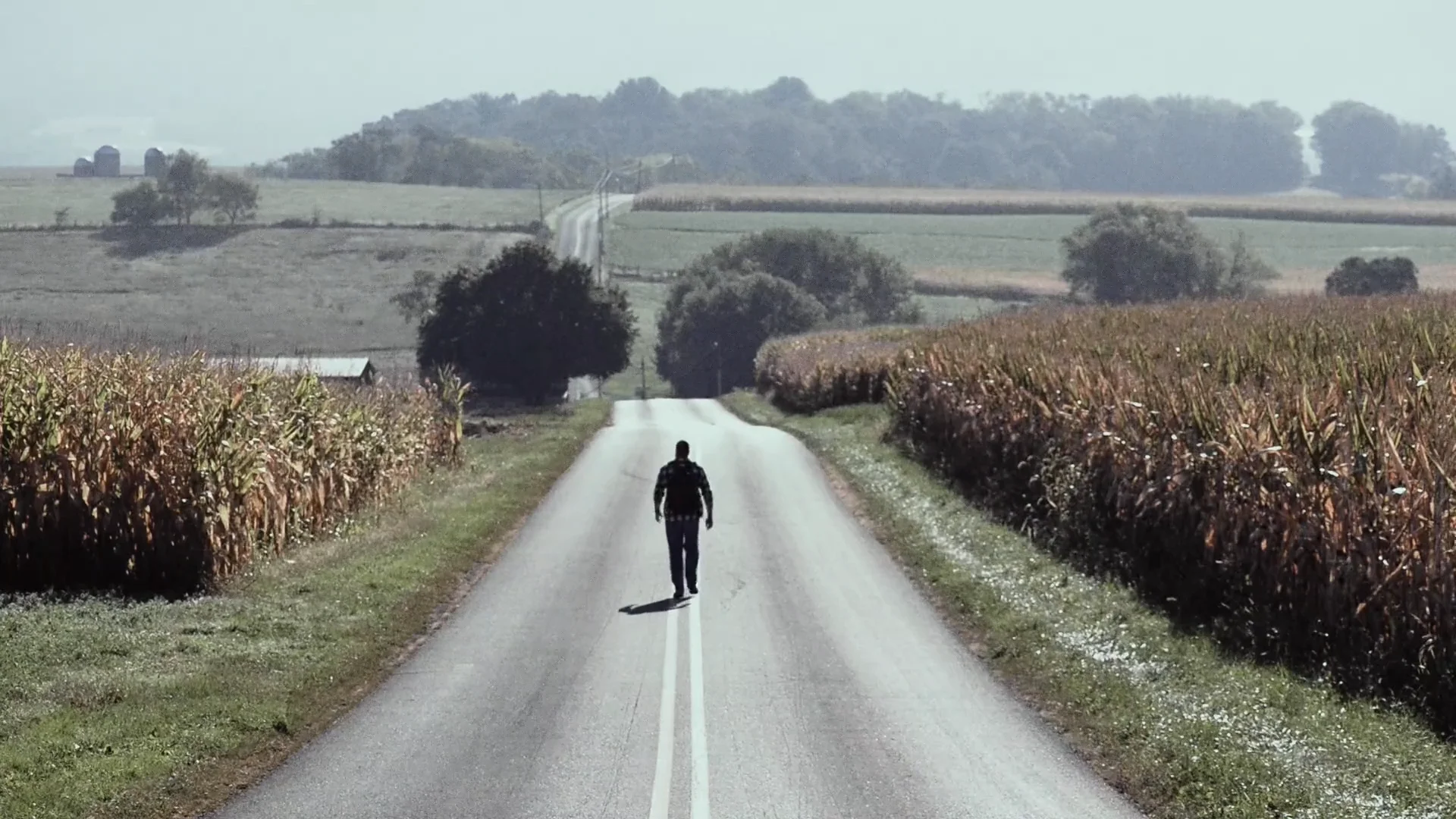 Watch Survival Bug out Online | Vimeo On Demand on Vimeo