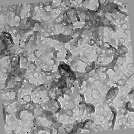 TEM Tomography – Alignment on Vimeo