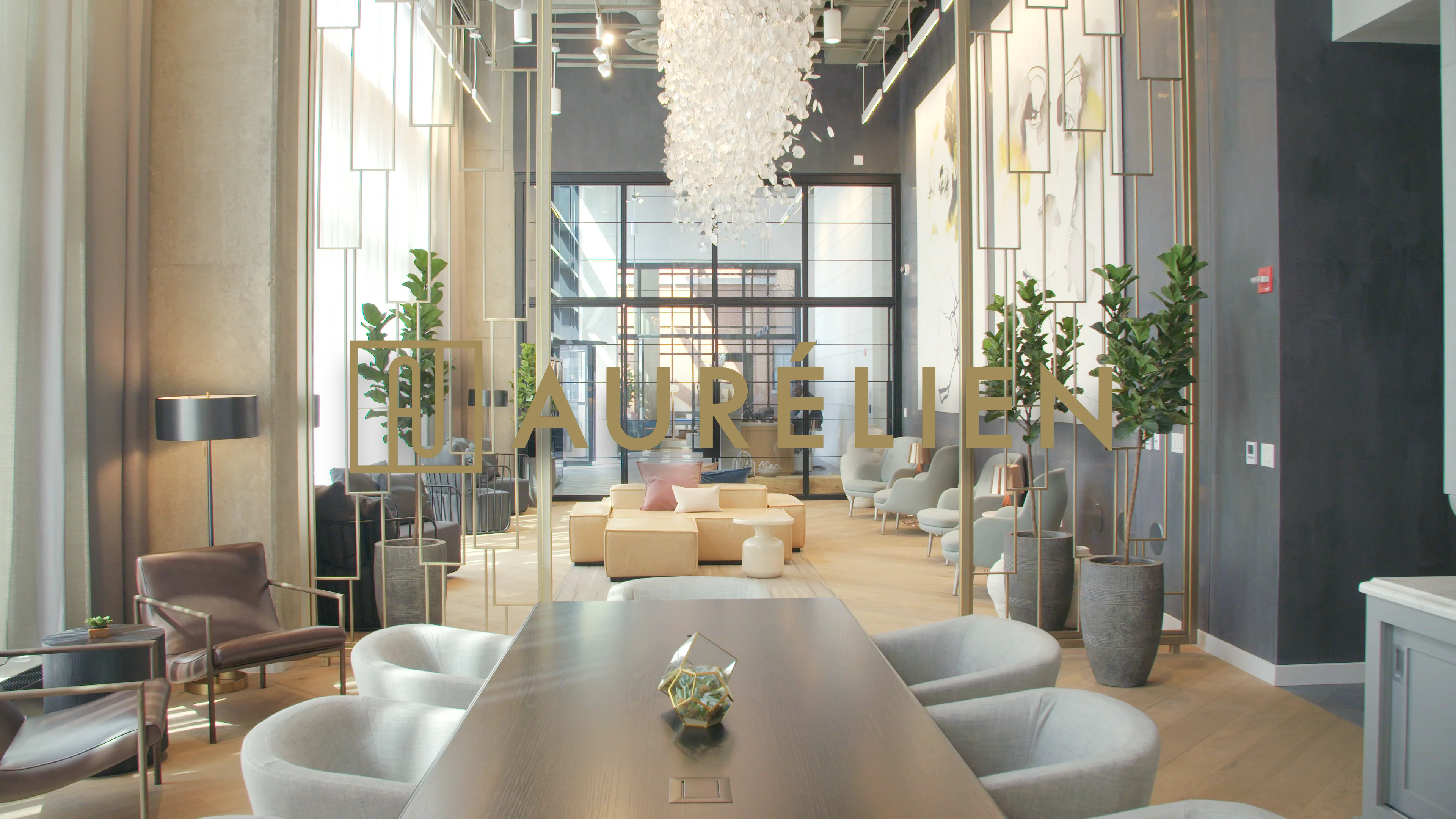 The Aurelien on Vimeo