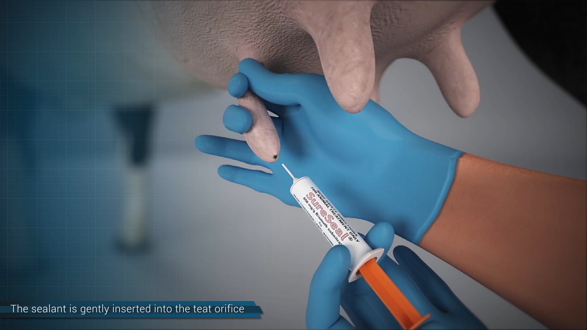 Intramammary Administration Guide New Zealand on Vimeo